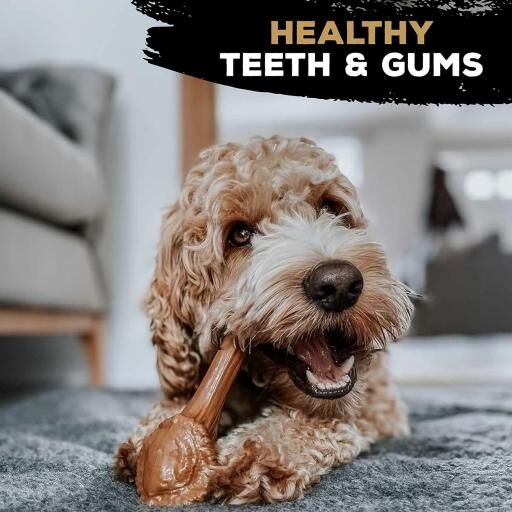 Tasty Bone Wild Venison Antler Bone Natural Pet Dog Chew Toy