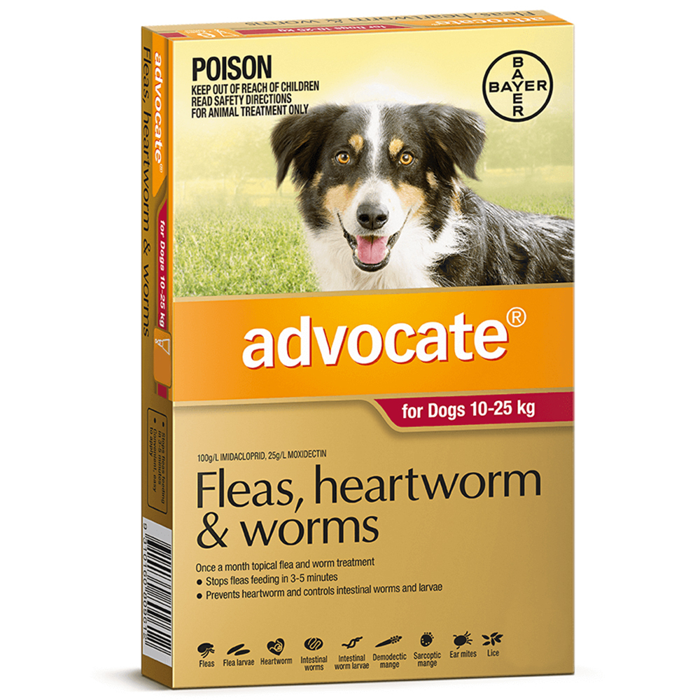 Advocate Large Dog 10-25kg Red Spot On Flea Wormer Treatment - 3 Sizes