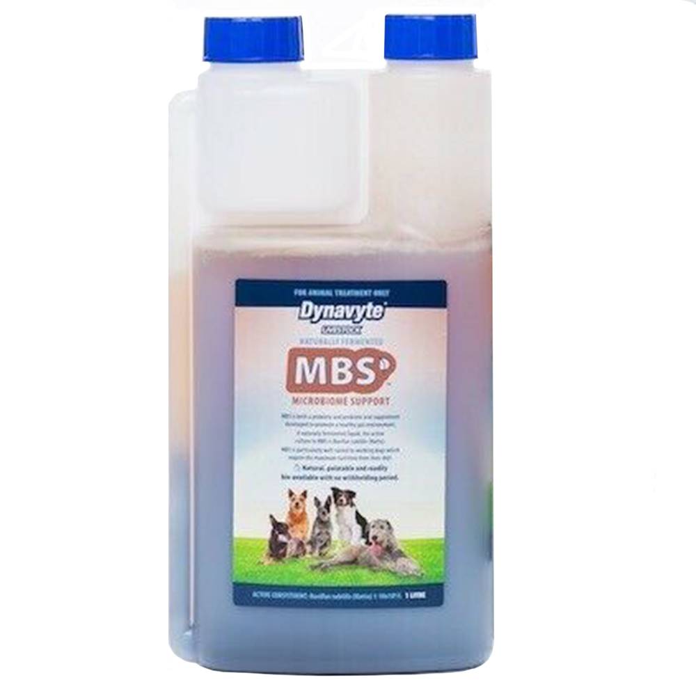 Dynavyte MBS for Dogs Gut Health Microbiome Support - 4 Sizes