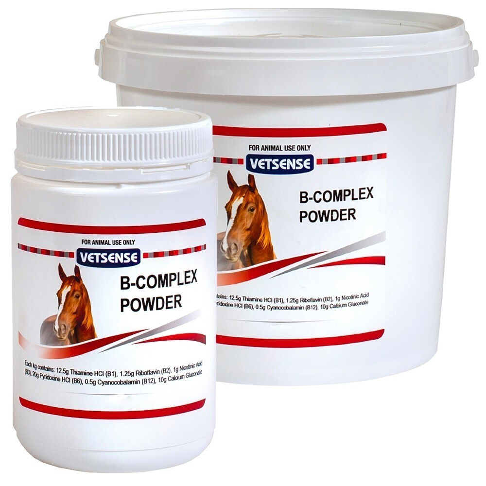 Vetsense Vitamin B Complex Horses & Dogs Oral Supplement - 3 Sizes