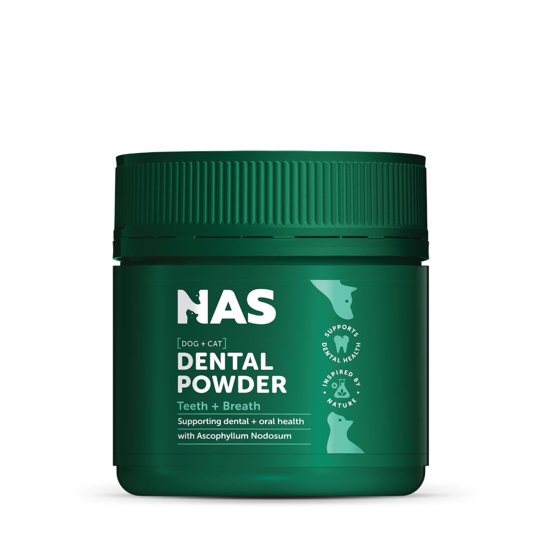 NAS Dental Powder Teeth & Breath Oral Health for Dogs & Cats - 2 Sizes ...
